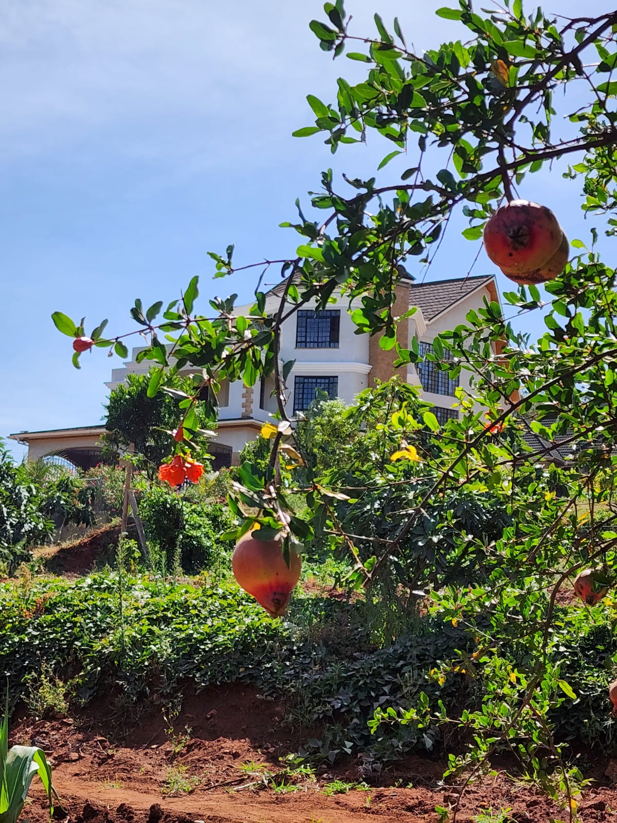 Residential House at Kerarapon Hill,Ngong` - Maestro Architects Limited